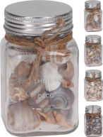 Shell In Glass Jar - H630749773